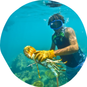 Our Story - Zenadth Kes Fisheries Limited