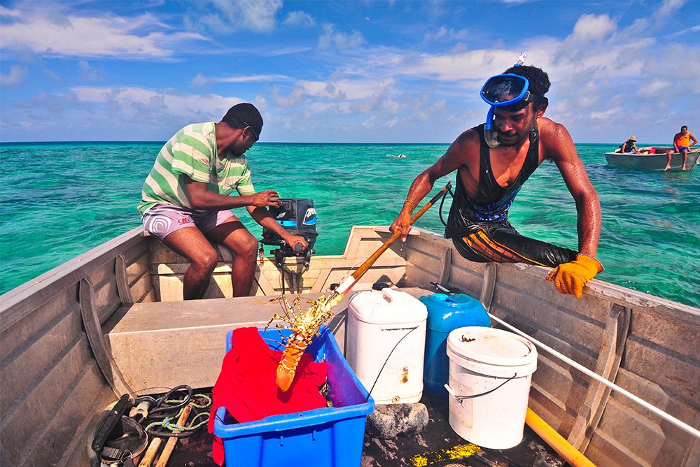 Contact - Zenadth Kes Fisheries Limited